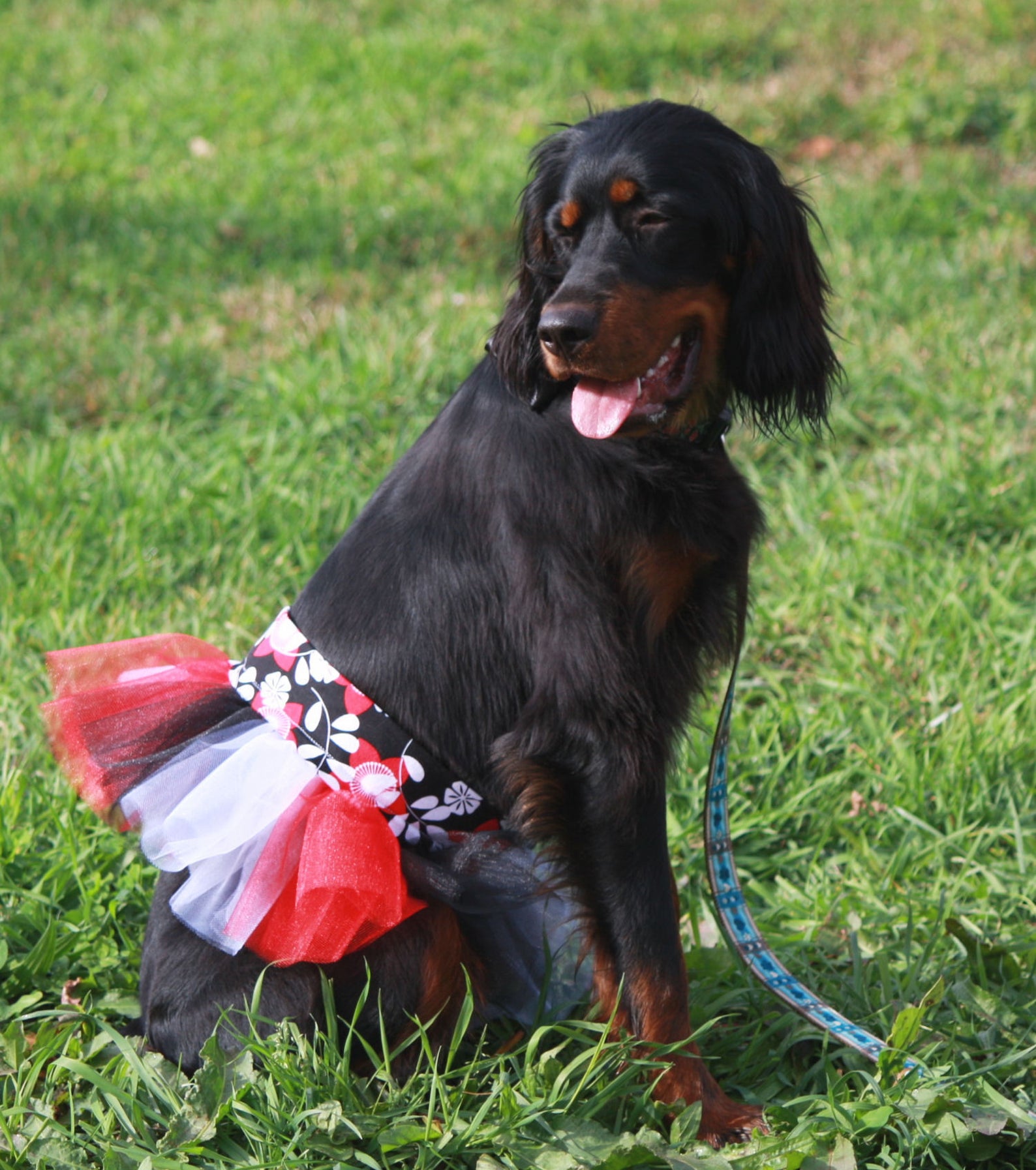 Large Dog Tutu Skirt Small Dog Tutu Tropical Dog Skirt Dog | Etsy