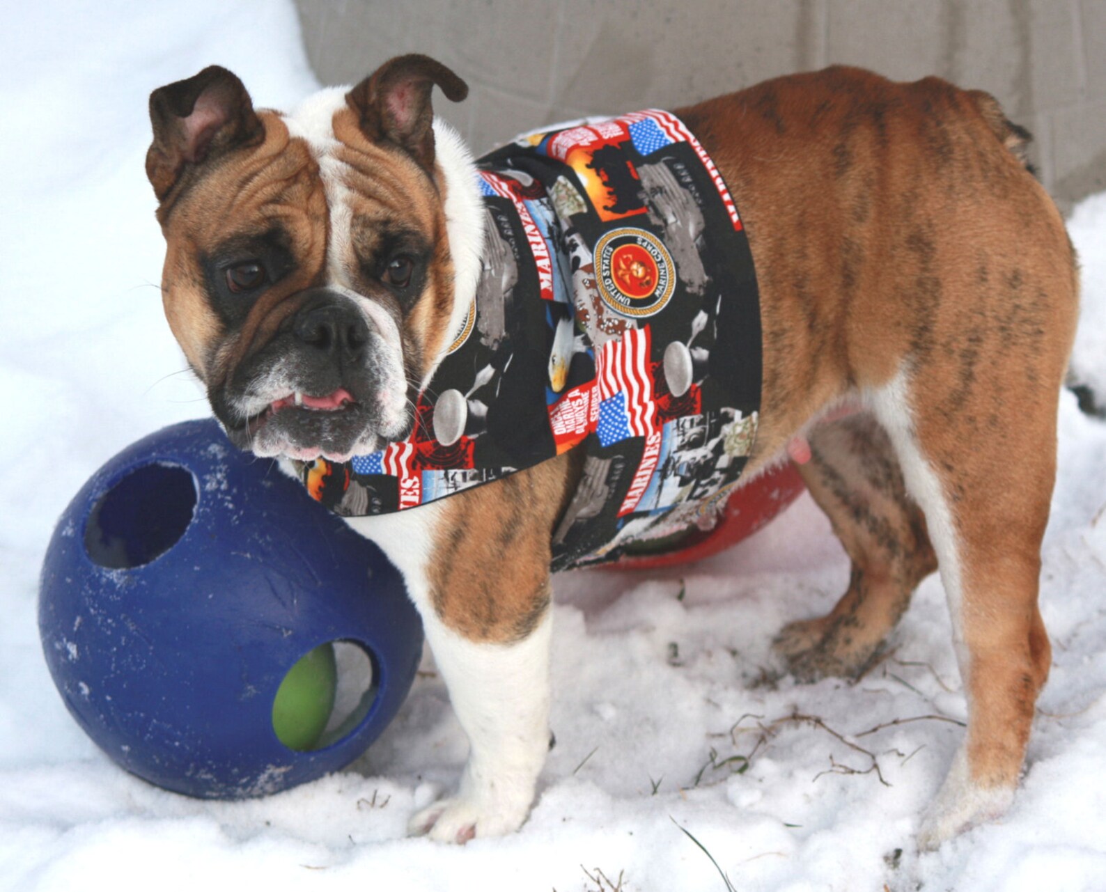 Patriotic Dog Jacket Dog Coat Dog Clothes Army Gifts Air | Etsy