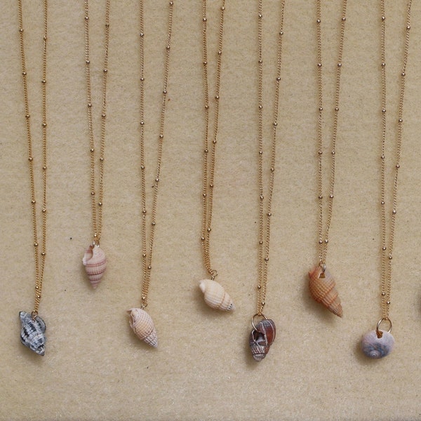 Seashell Necklace - Etsy