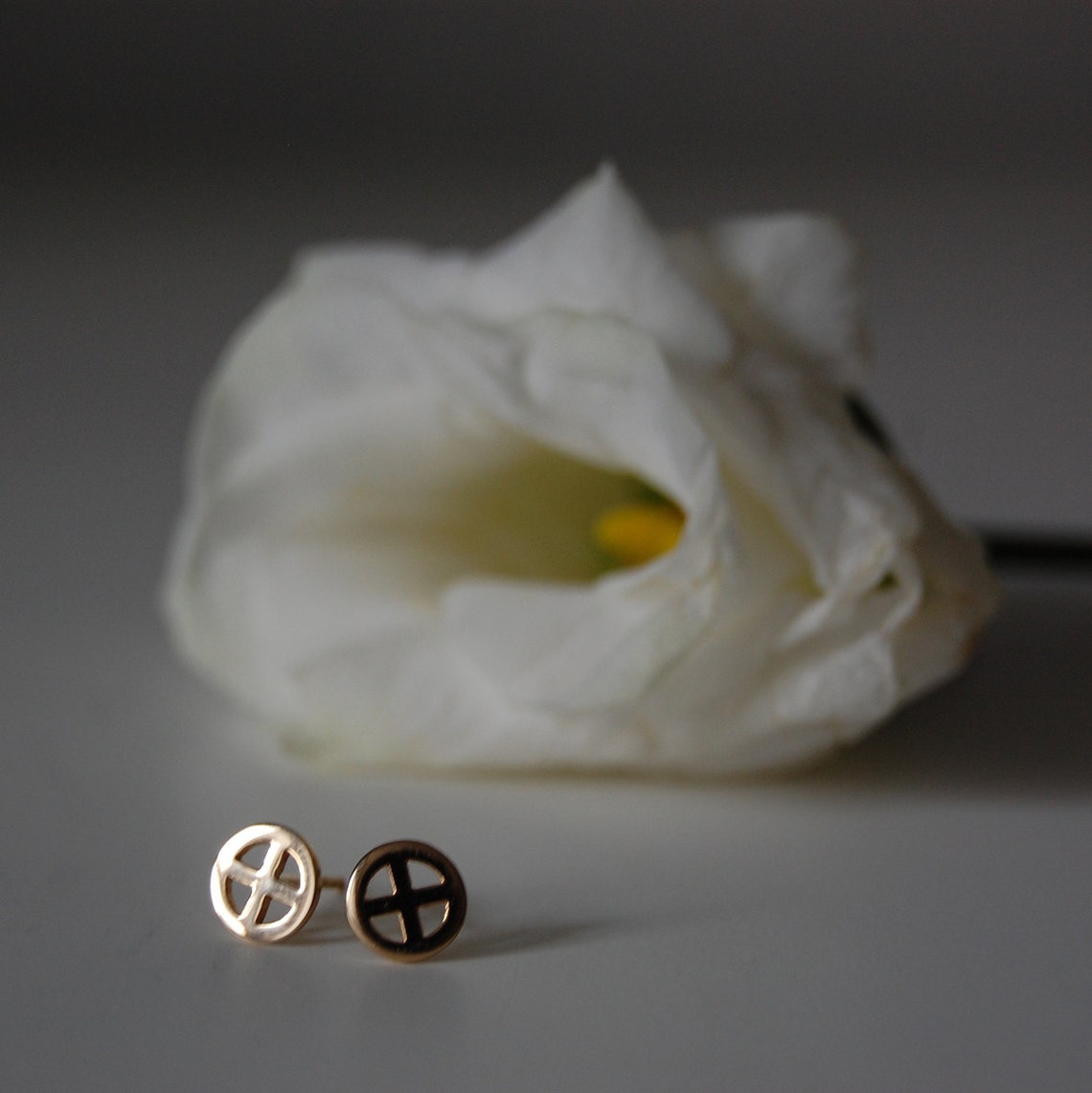 Earth Sign Earrings . Silver Earth Studs . Gold Cross Symbol - Etsy