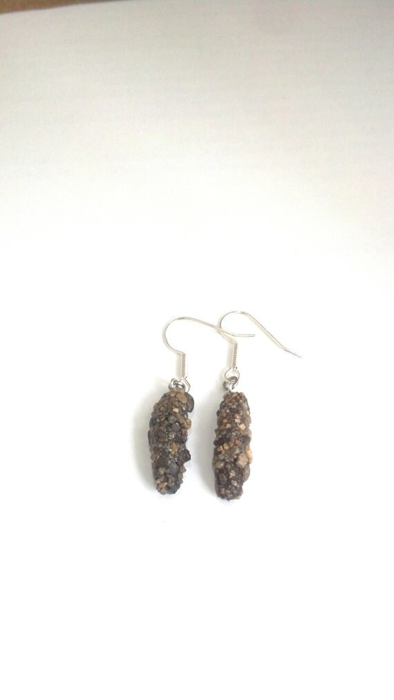Earrings With Stone Caddisfly Case Pendant and Stainless Steel Wires - Etsy