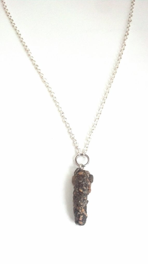 Necklace With Caddisfly Case Pendant and Silver-finished Steel Chain - Etsy
