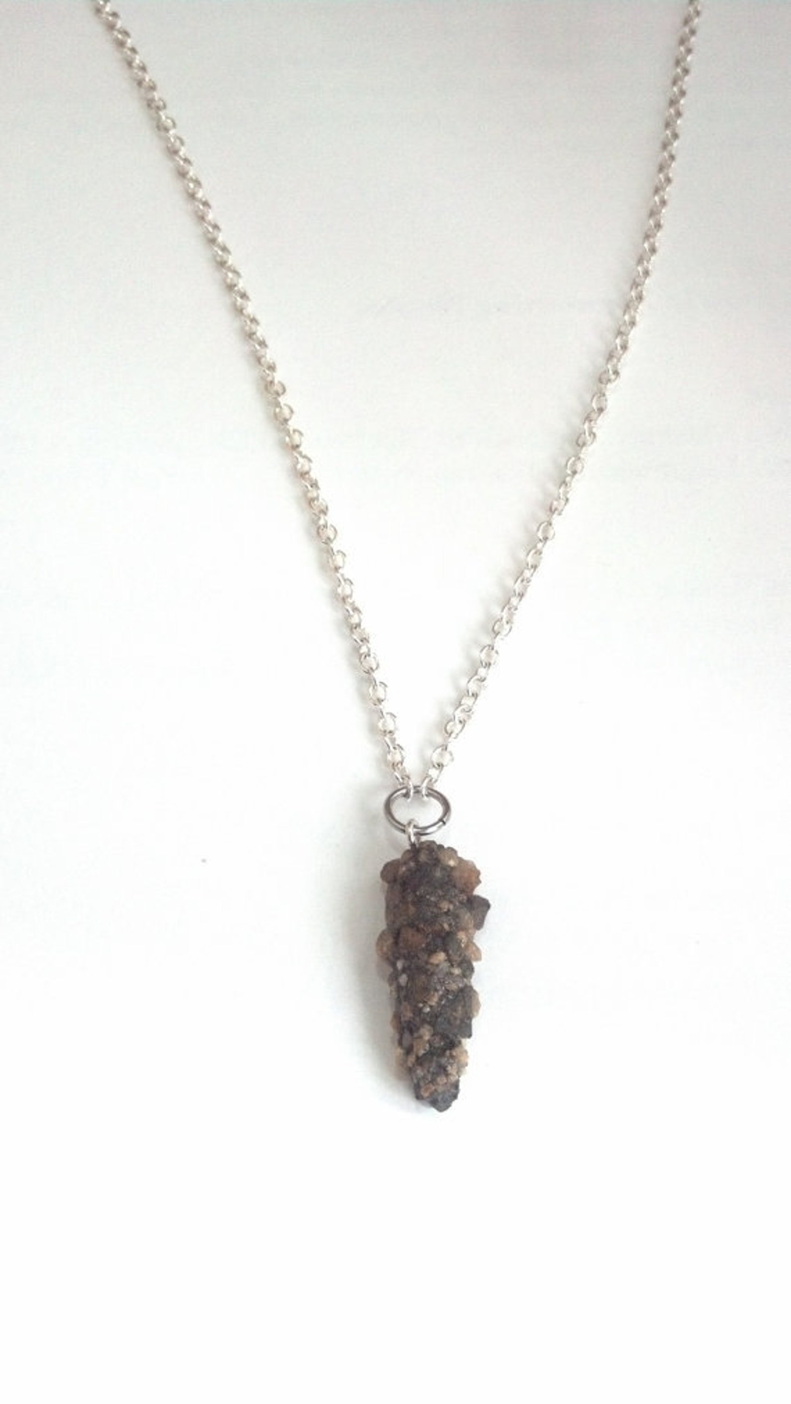 Necklace With Caddisfly Case Pendant and Silver-finished Steel Chain - Etsy