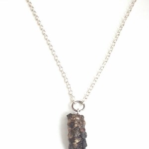 Necklace With Caddisfly Case Pendant and Silver-finished Steel Chain - Etsy