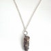 Necklace With Caddisfly Case Pendant and Silver-finished Steel Chain - Etsy
