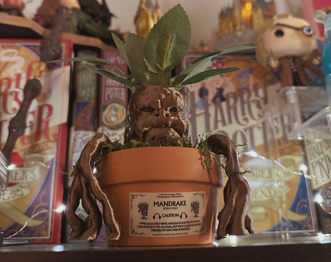 Wizard Planters - Etsy