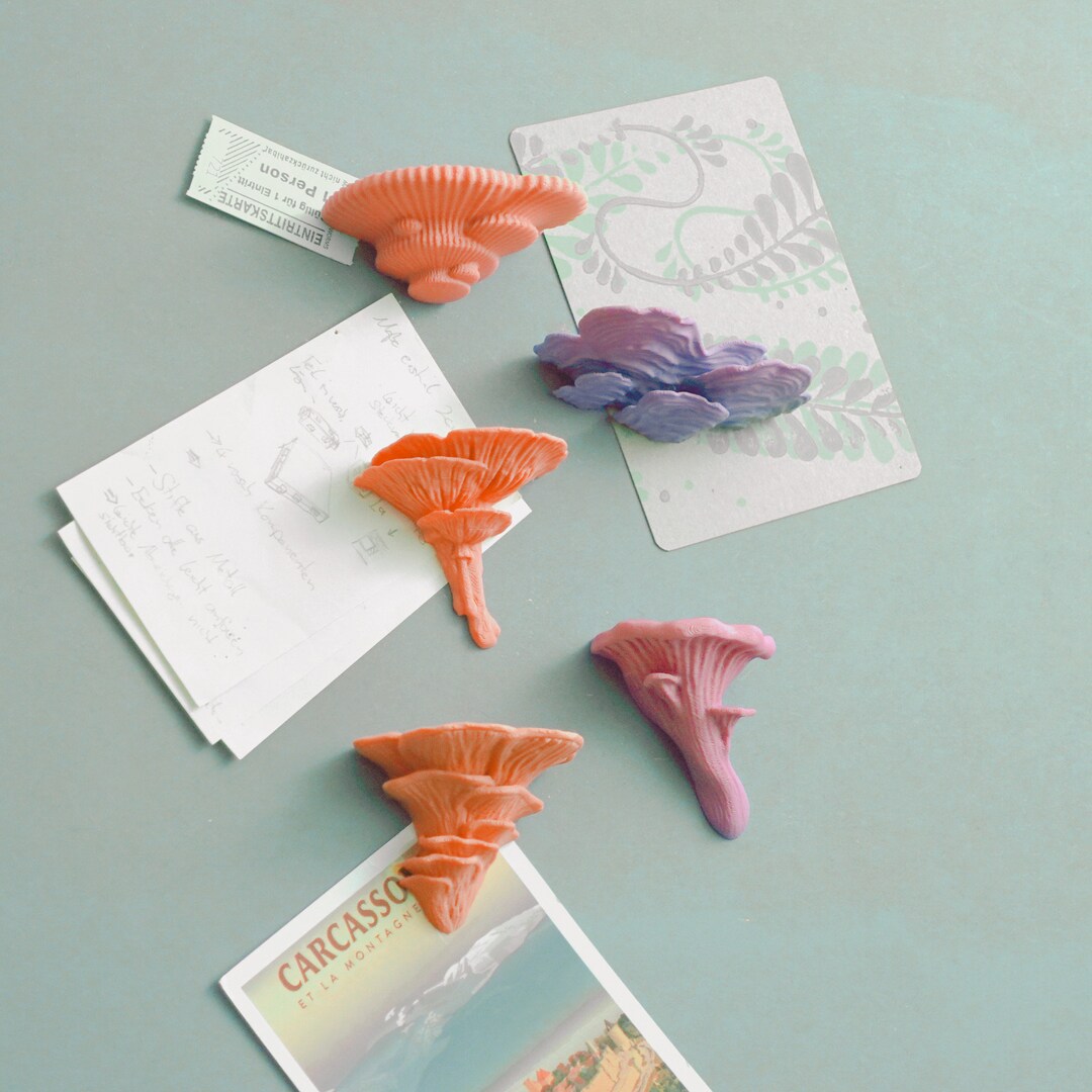 3D Printed Cottage Core Witchy Fungi Mushroom Magnets - Etsy