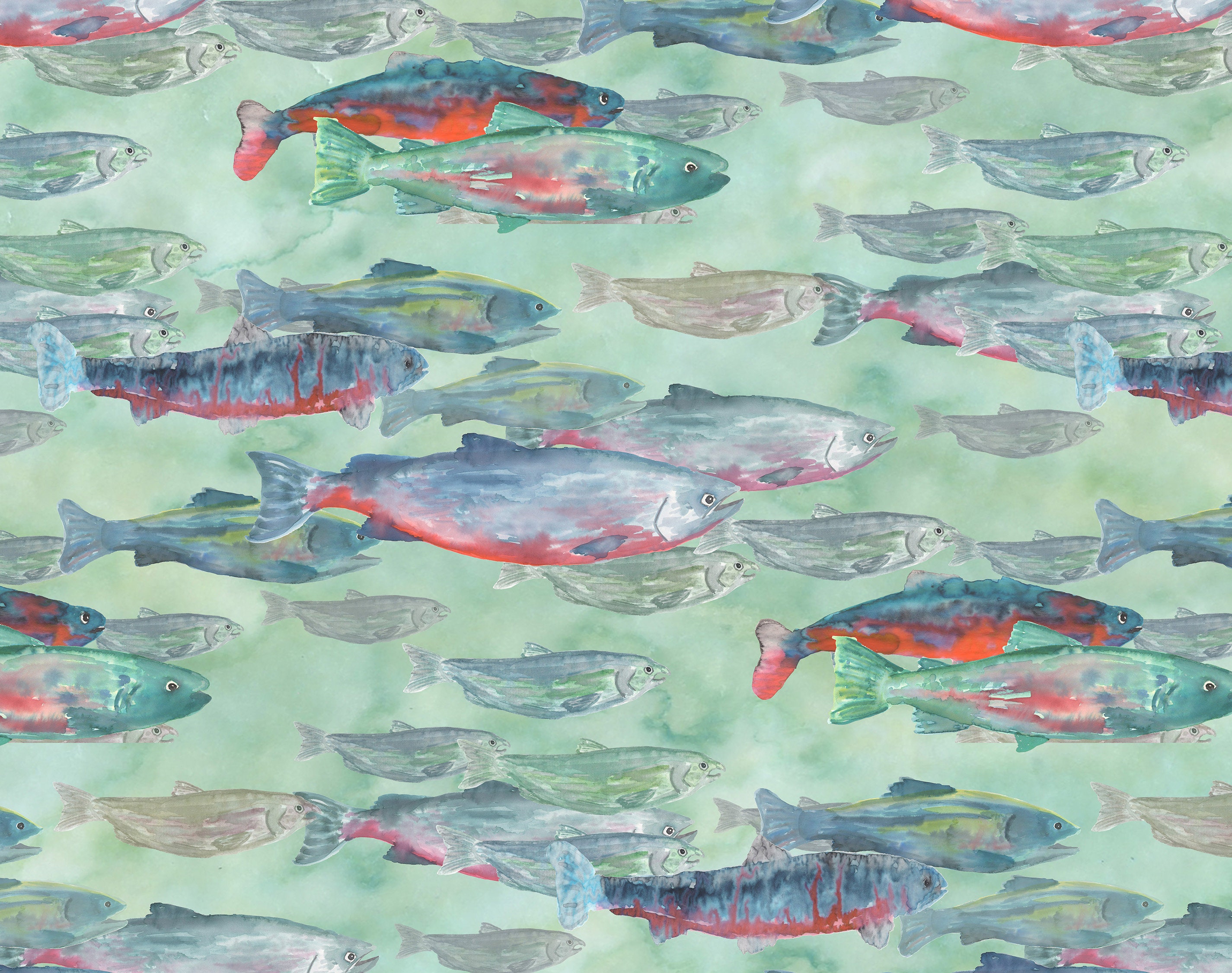 Salmon Run – Archival Print - Etsy