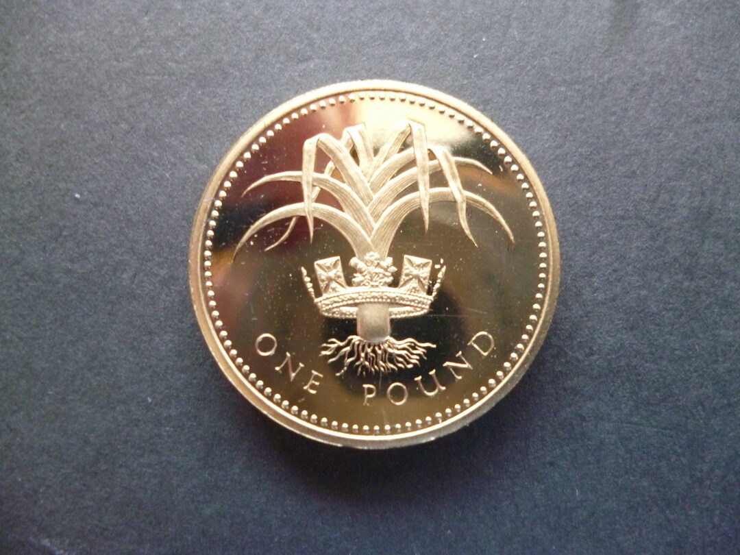 United Kingdom Royal Mint 1985 Nickel Brass Proof Condition One Pound ...