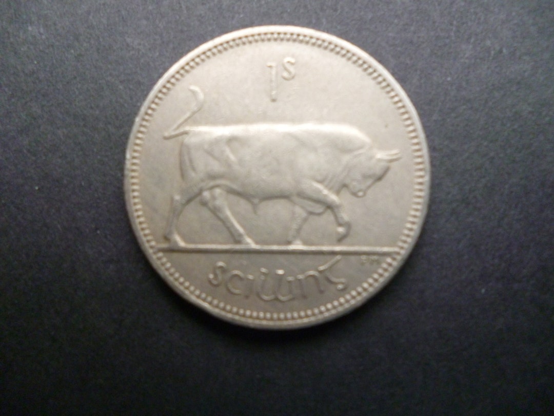 1966 Eire ireland Republic Shilling Coin Featuring a Bull - Etsy
