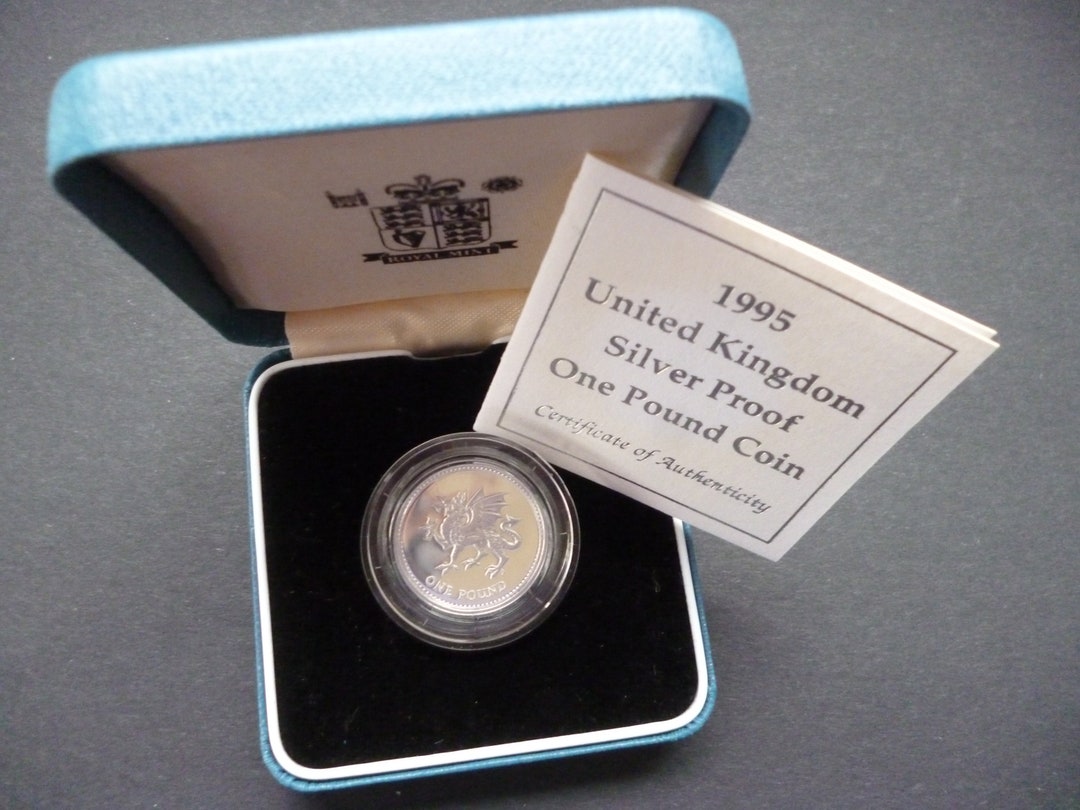 1995 UK Royal Mint Sterling Silver Proof One Pound Coin - Etsy