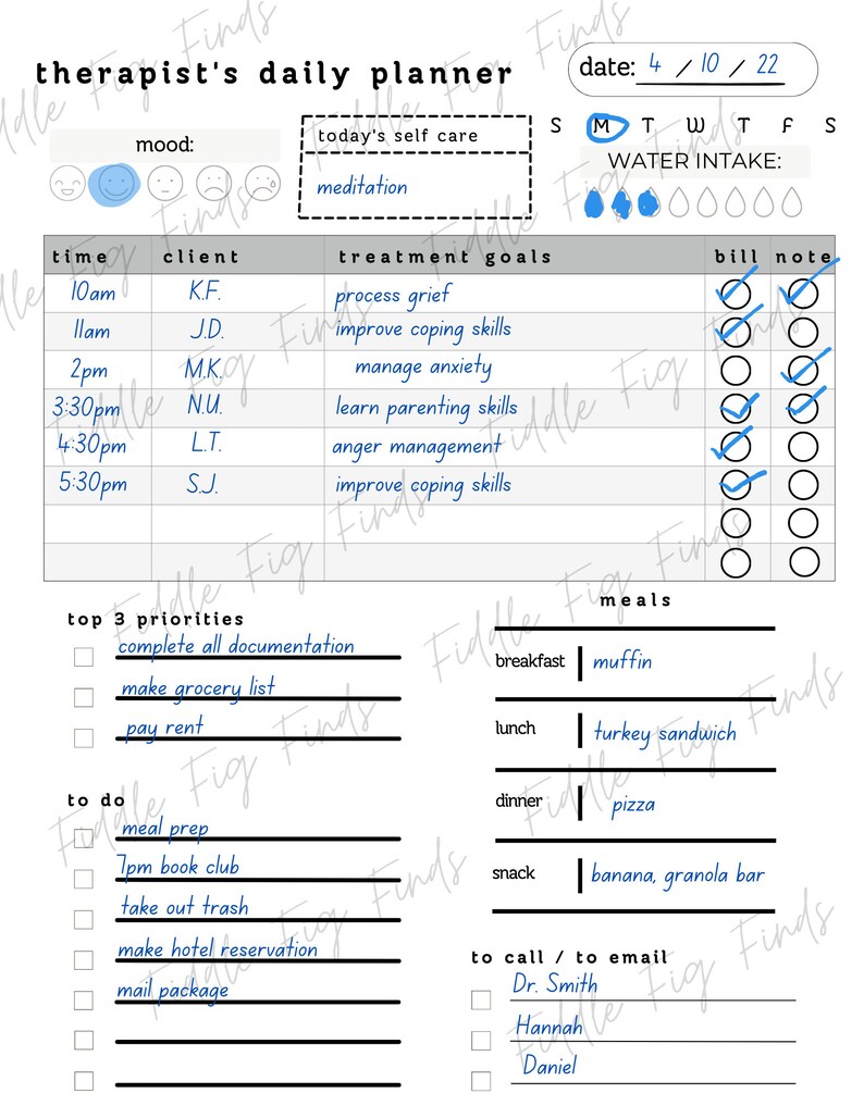 Therapist Daily Appointment Planner, Therapist Calendar, Daily Clinical ...