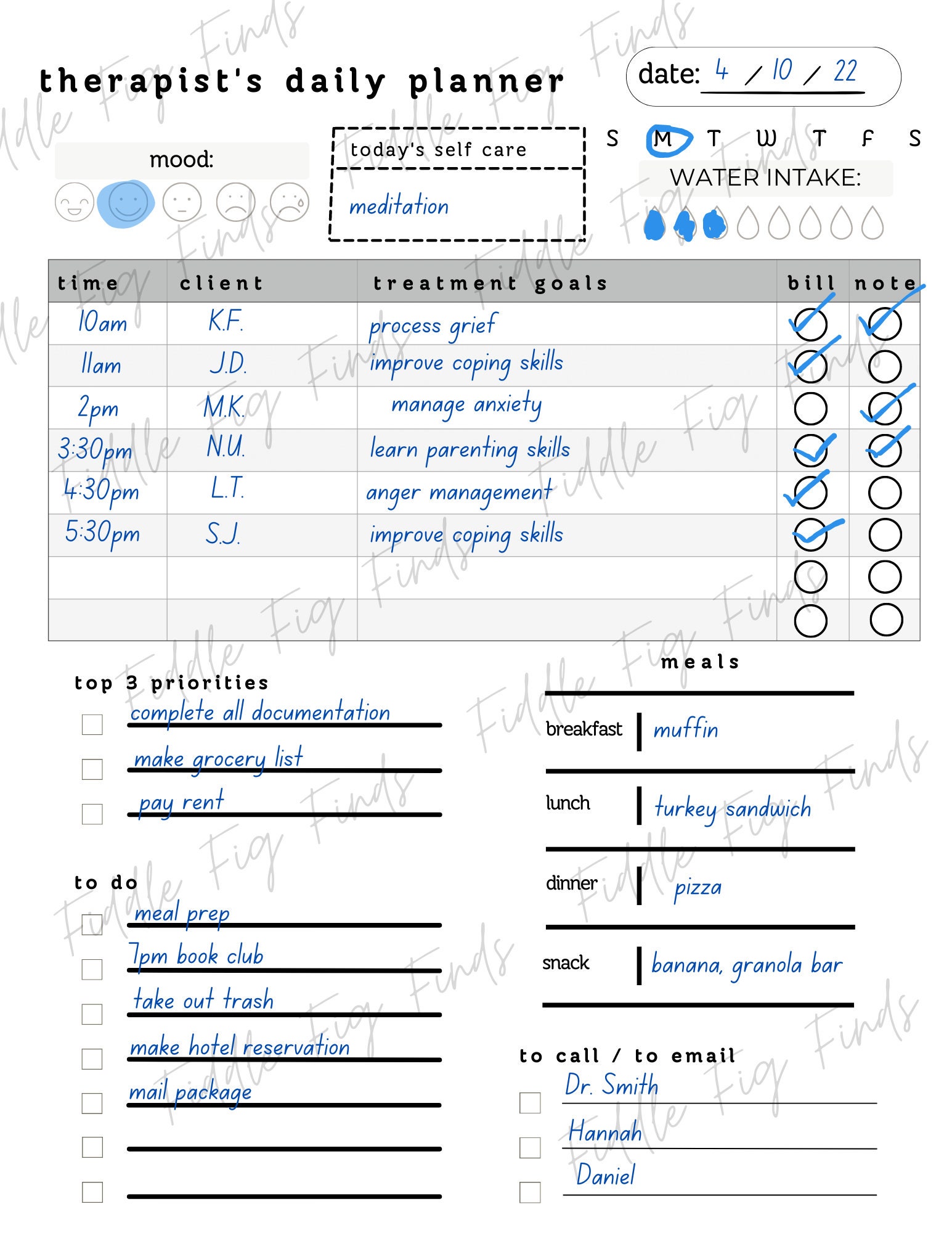 Therapist Daily Appointment Planner, Therapist Calendar, Daily Clinical ...