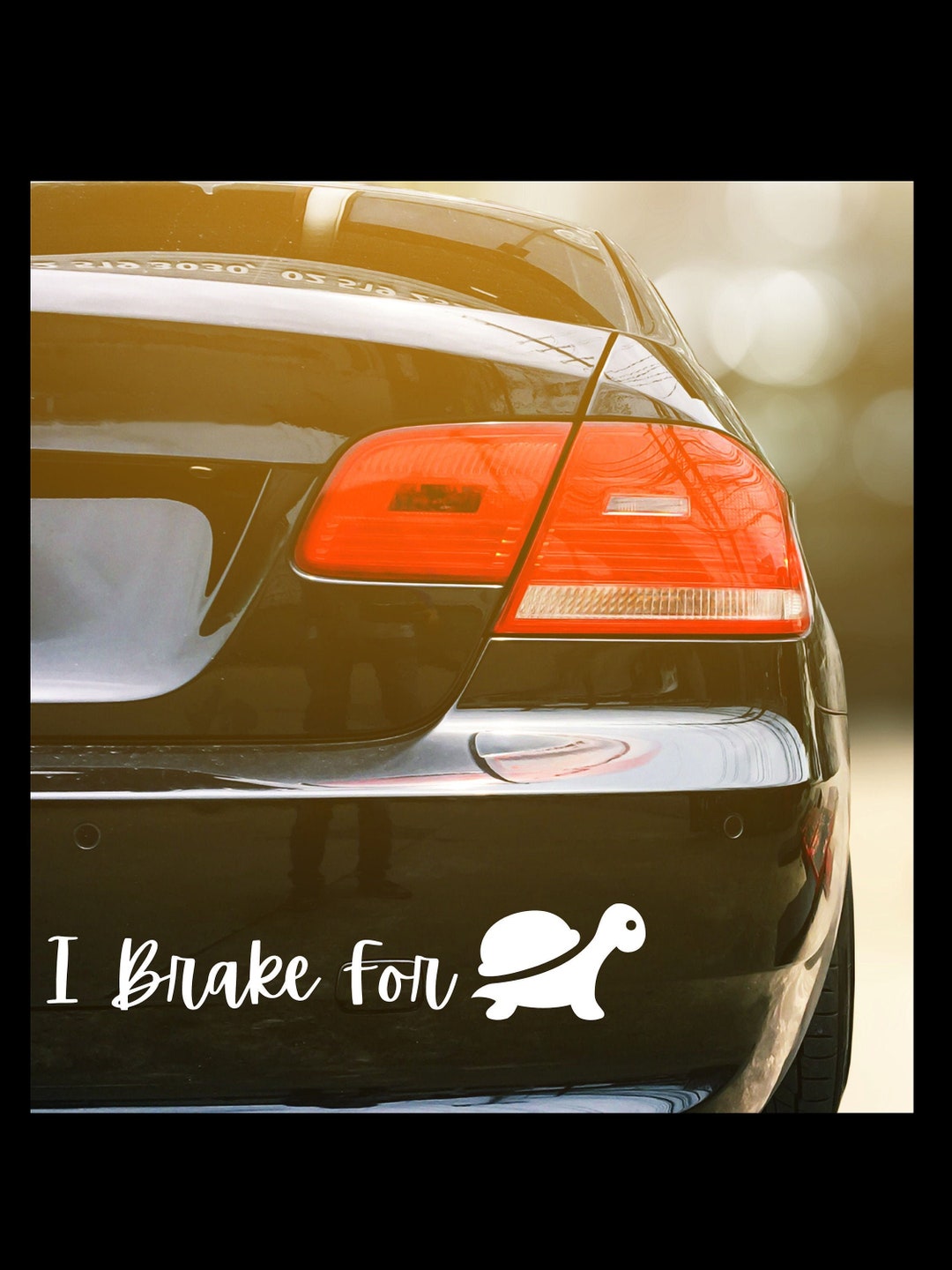 I Brake for Turtles Car Bumper SVG Instant Digital Download for Cricut ...