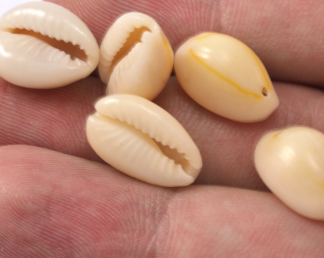 Cowrie Shell Sea Shell Natural Shell Beads Seashells Pendant | Etsy