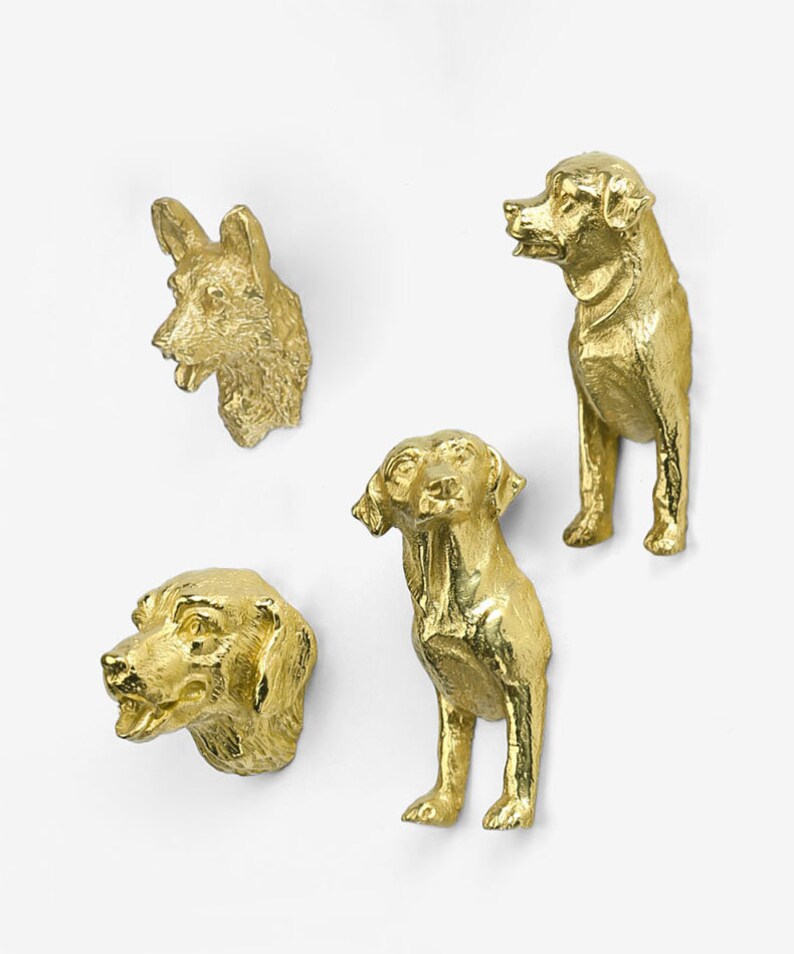 Solid Brass Drawer Knob Golden Dog Knob Cabinet Pull Wardrobe - Etsy