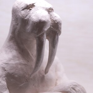 Walrus Man - Hybrid Portrait - Small Sculpture - Man Bust #430 - Etsy