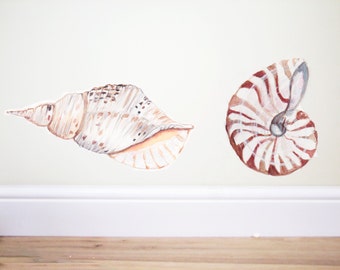 Shell wall decals | Etsy