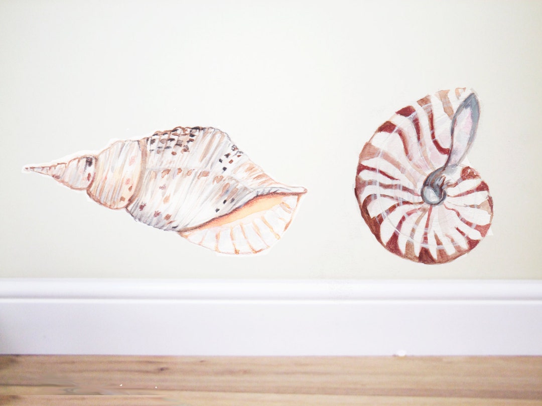 Seashells,shell Wall Decal,individual Shell Wall Decal,shell ...