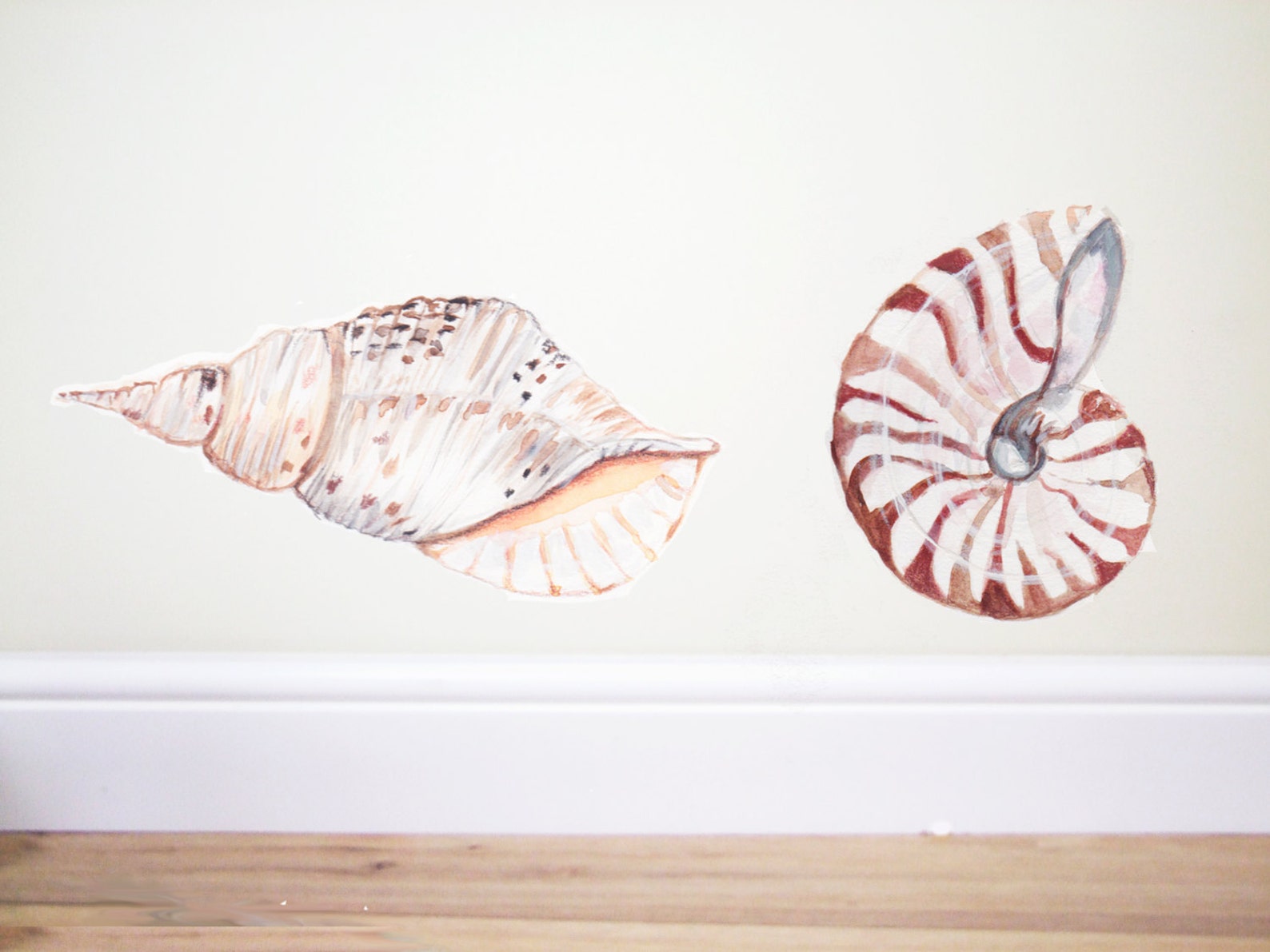 Seashells,shell Wall Decal,individual Shell Wall Decal,shell ...