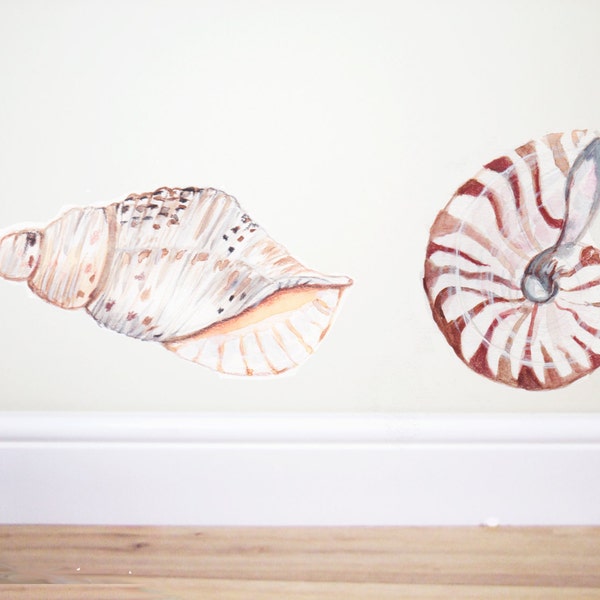 Shell Decals - Etsy