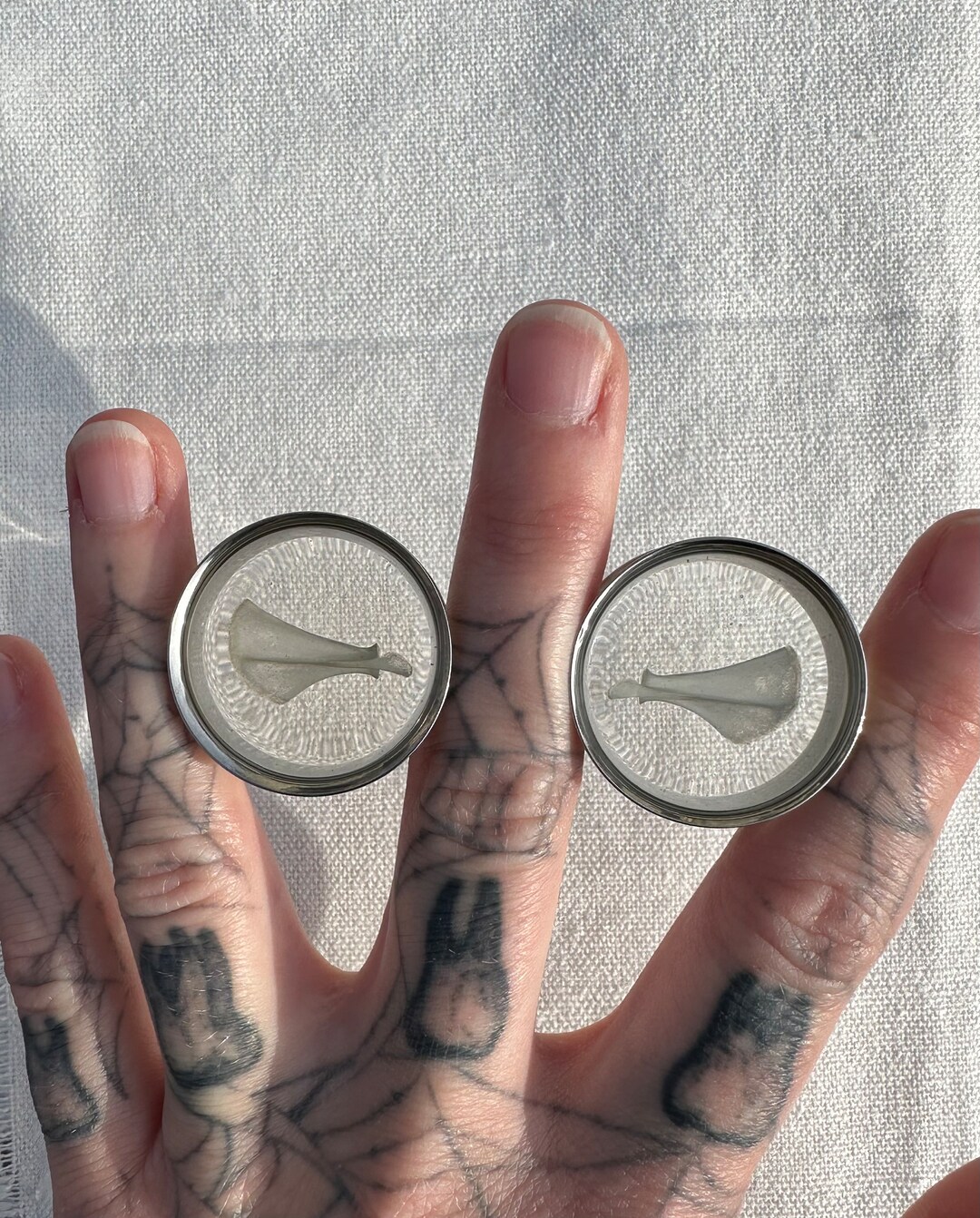 Rat Shoulder Blade Surgical Steel Plugs Size 1inch. - Etsy