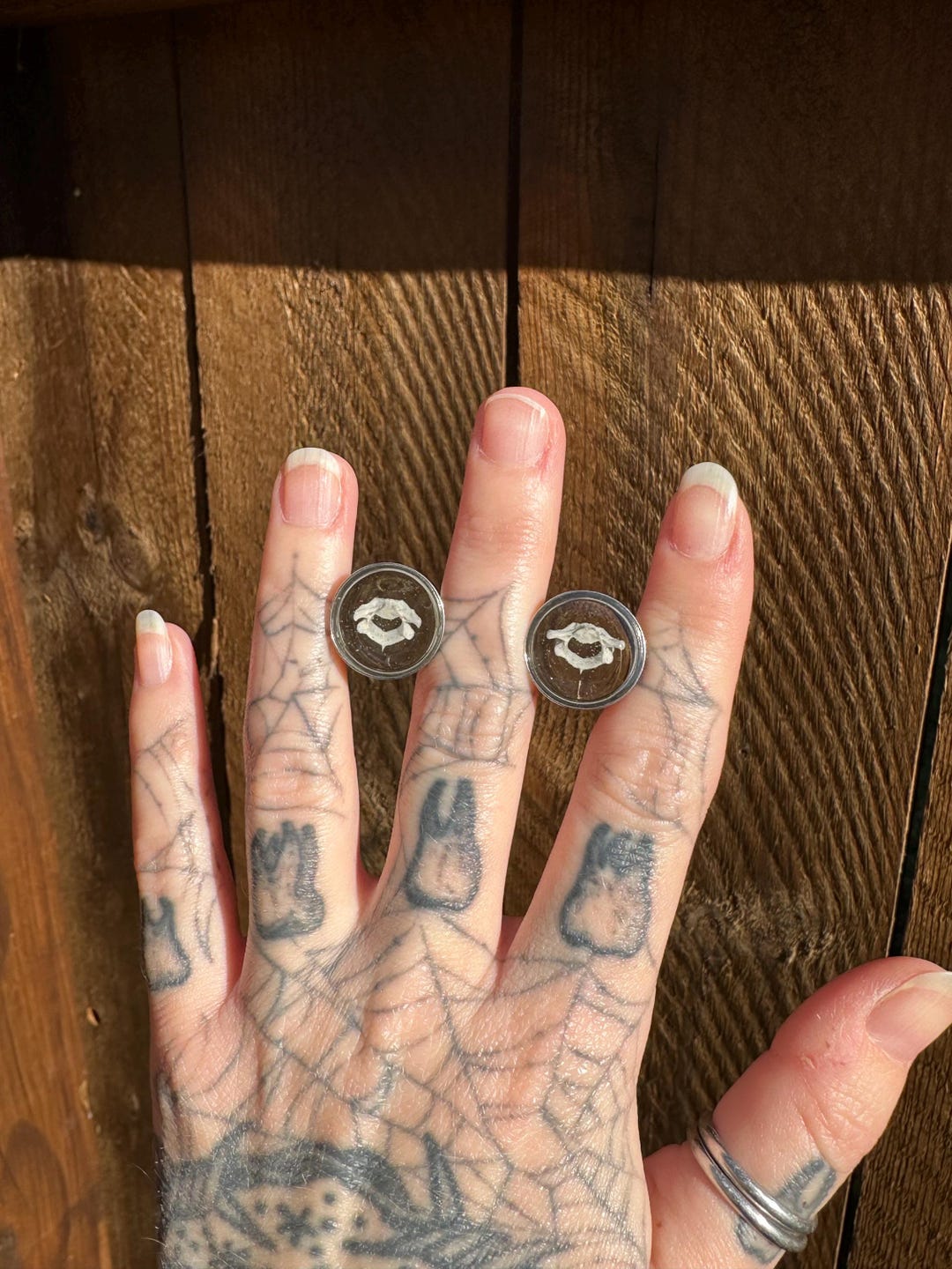 Rat Vertebra Surgical Steel Plugs Size 9/16ths. - Etsy