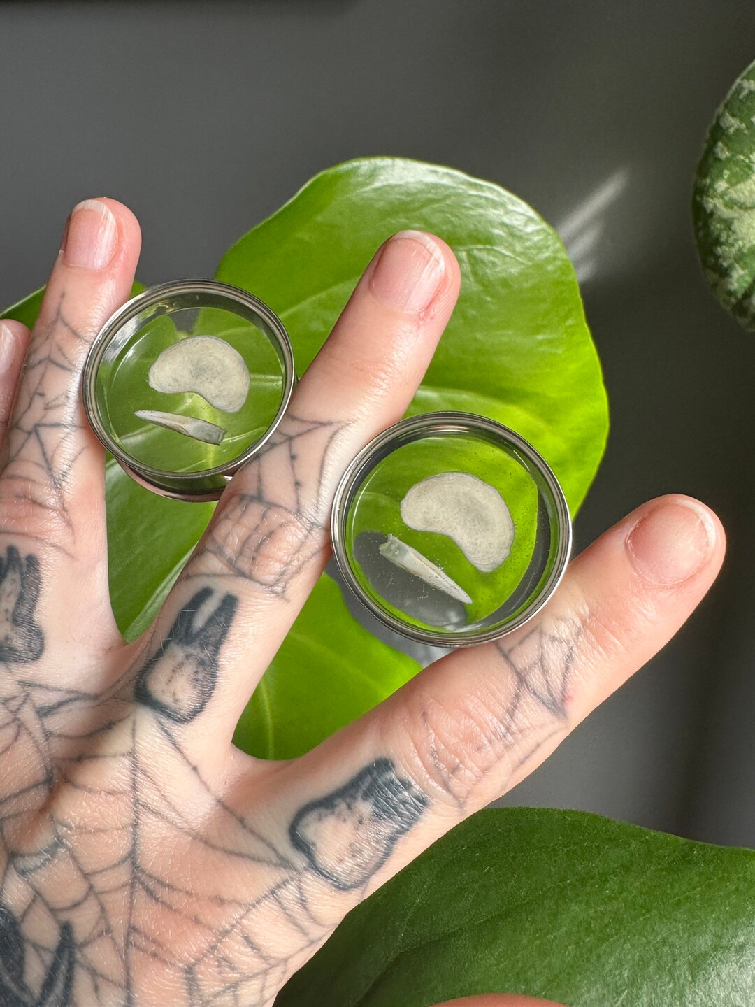 Raccoon Vertebra Disk/tooth Surgical Steel Plugs- Size 28mm. - Etsy