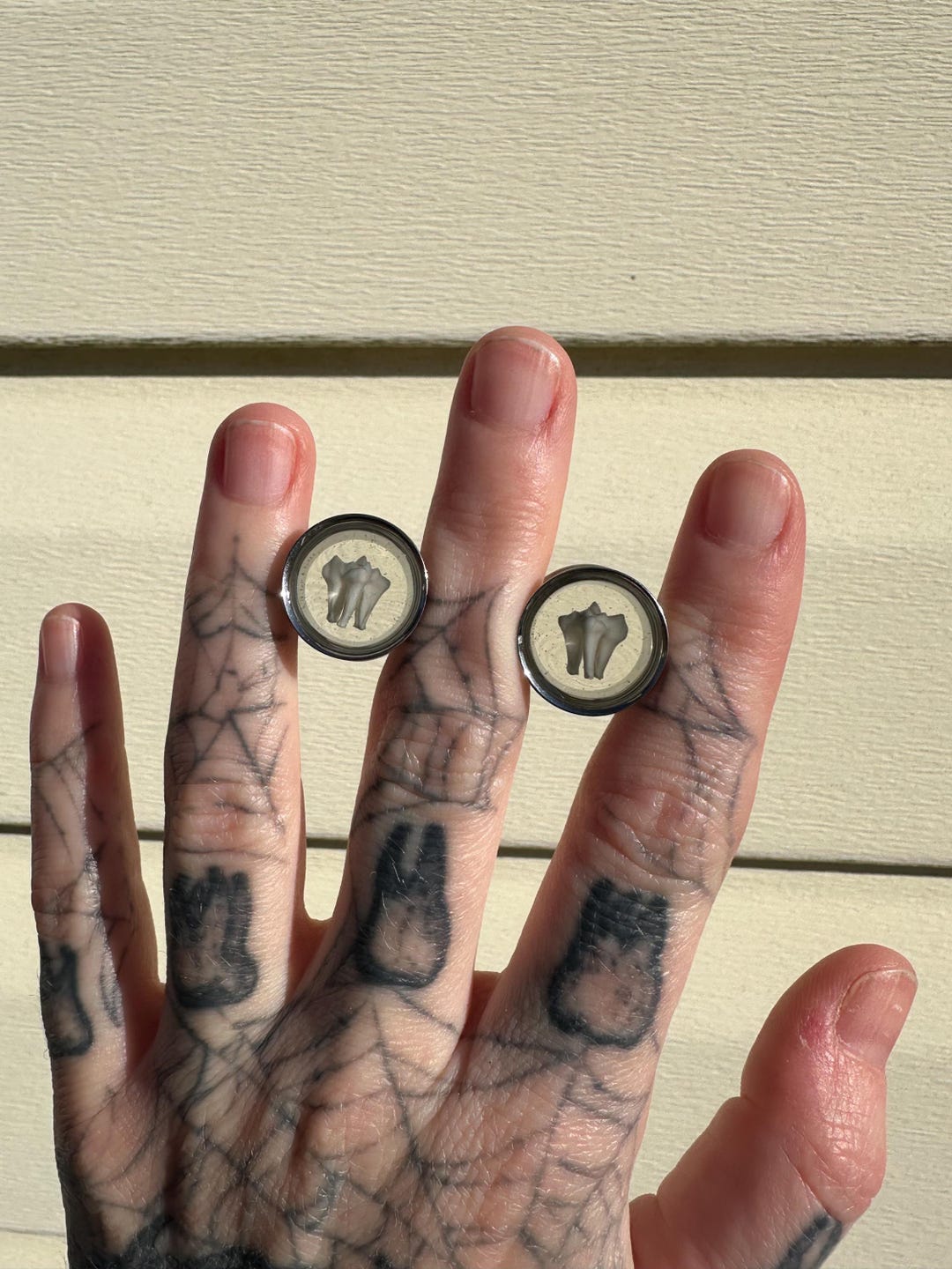Opossum Tooth Stainless Steel Plugs- Size 9/16ths. - Etsy