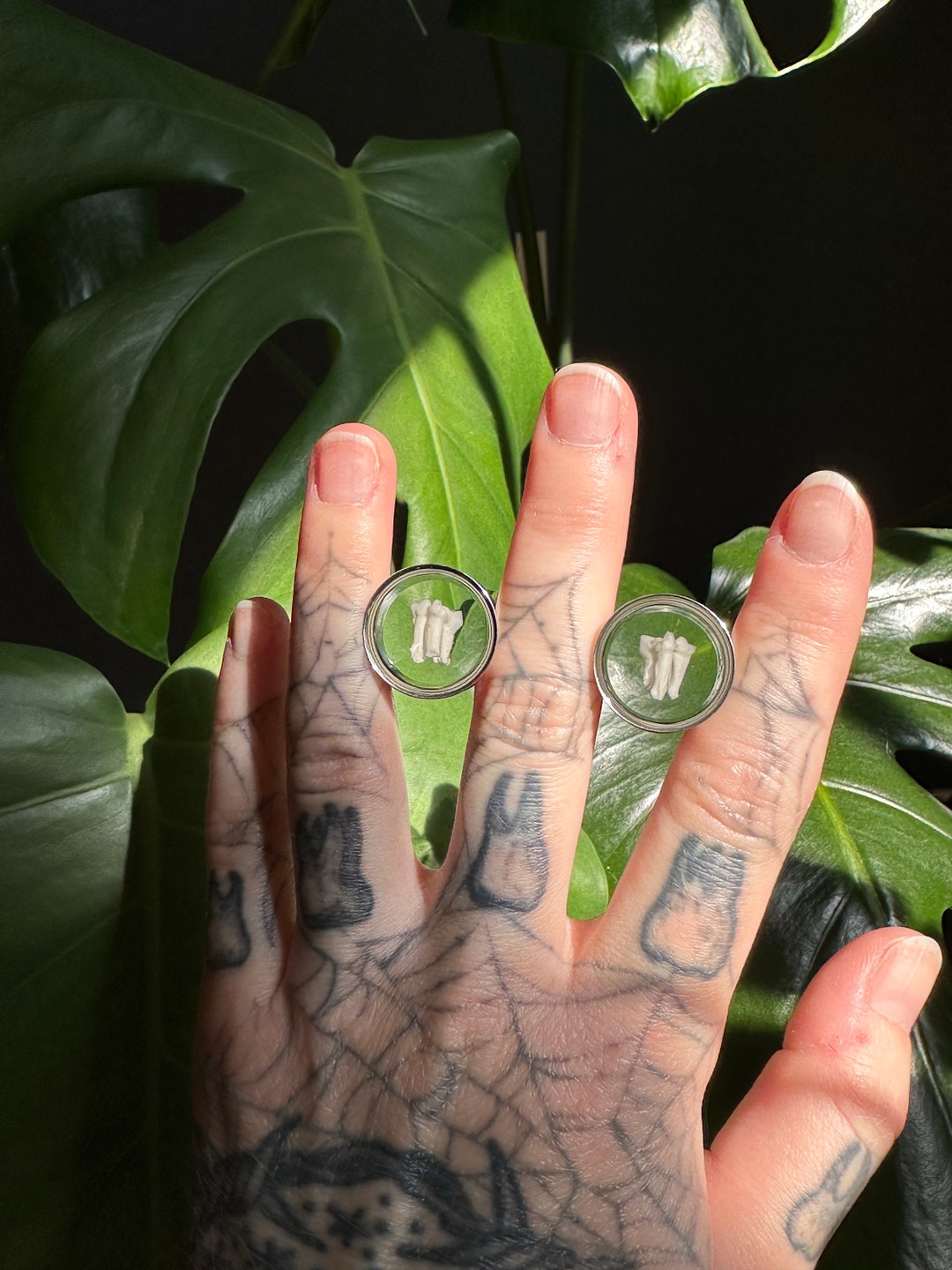 Opossum Tooth Stainless Steel Plugs- Size 5/8ths. *DISCOUNTED* - Etsy