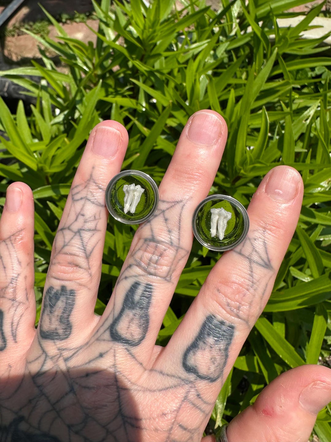 Opossum Tooth Stainless Steel Plugs- Size 9/16ths. *DISCOUNTED* - Etsy