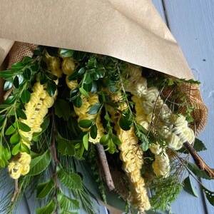 Pattern: Golden Crochet Wattle - Etsy Australia