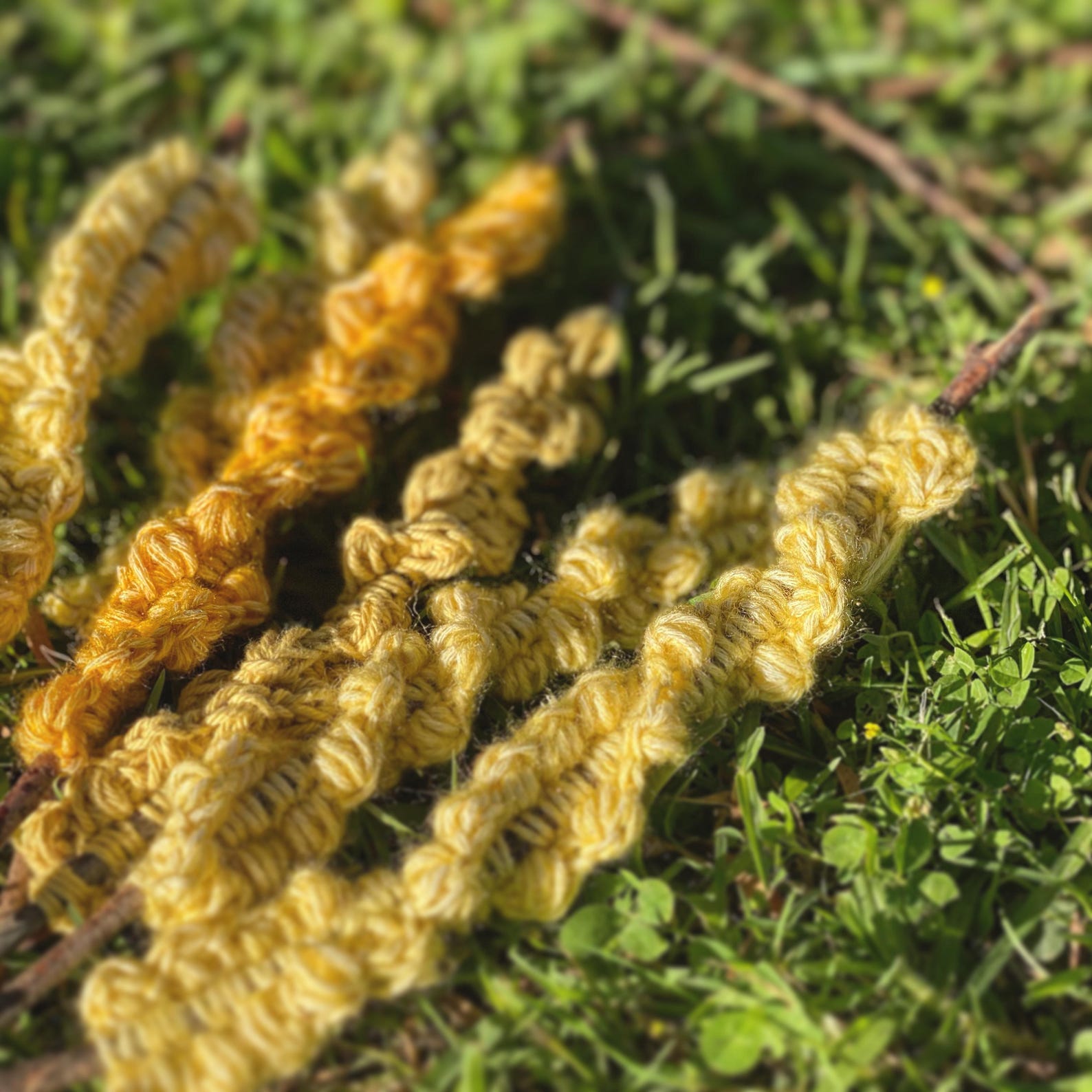 Pattern: Golden Crochet Wattle - Etsy Australia