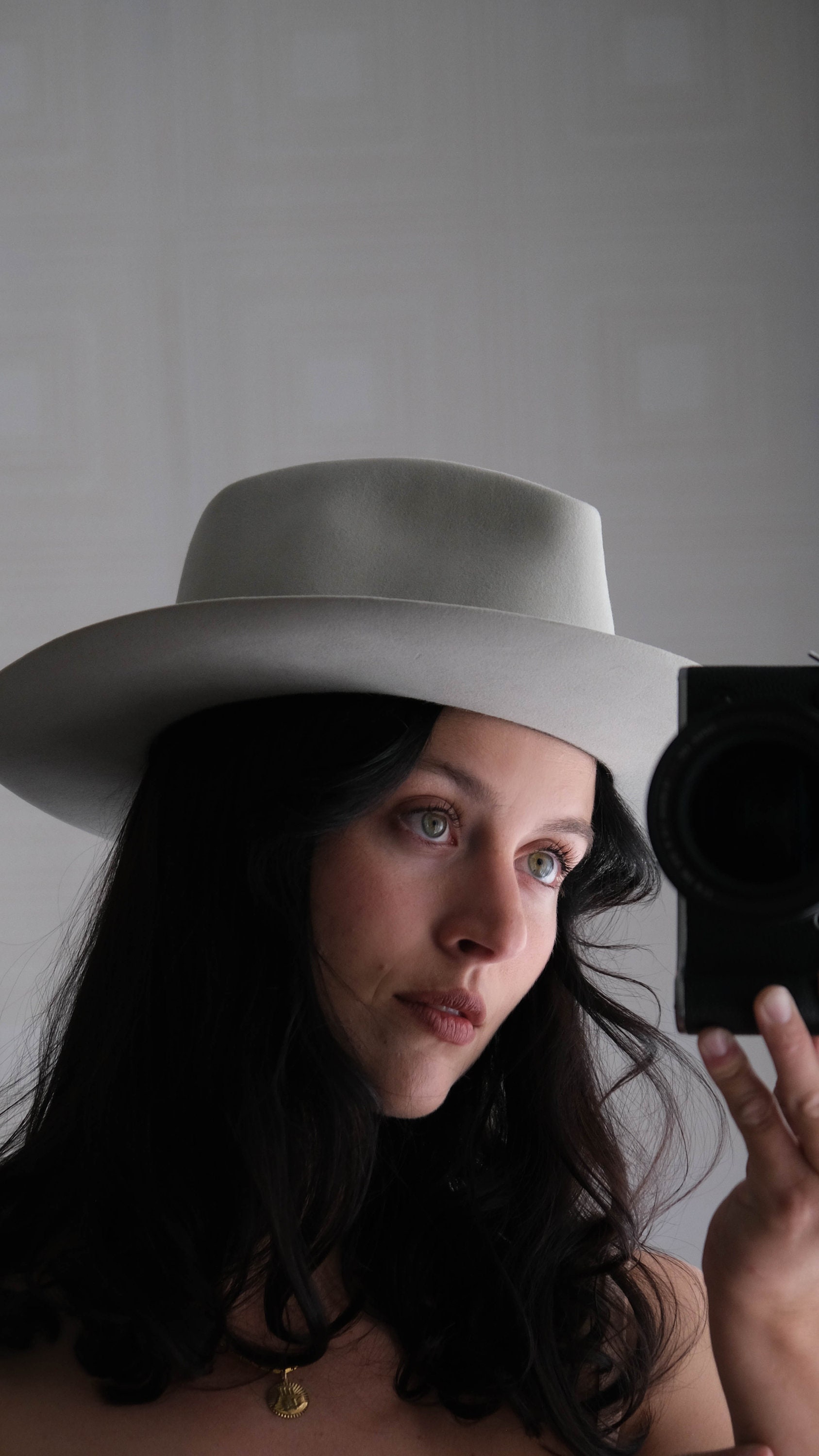 Duke of Soho by Home 1969 Silverbelly Beaver Fur & Silk Wide Brim ...