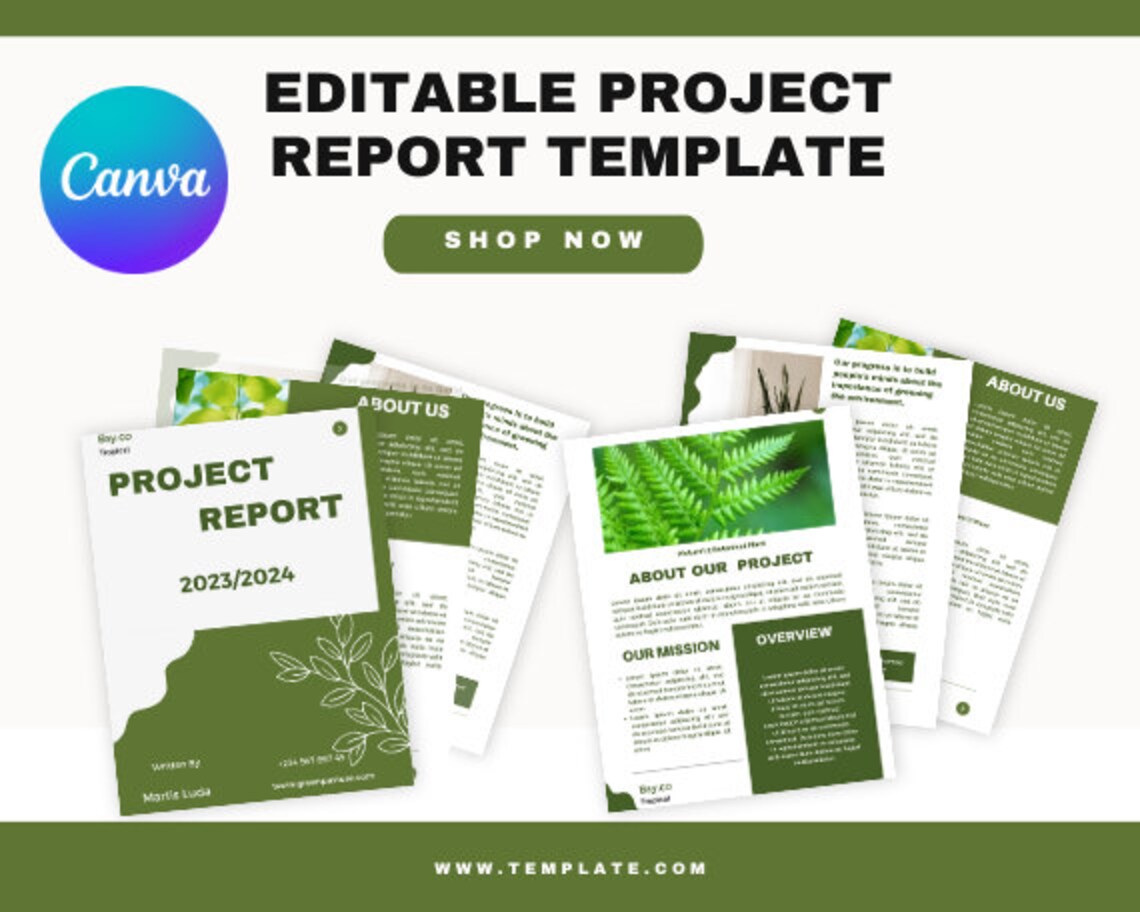 Project Report Editable Template | Project Progress Report | Project ...