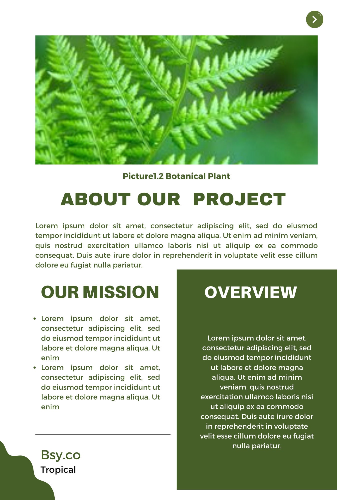 Project Report Editable Template | Project Progress Report | Project ...