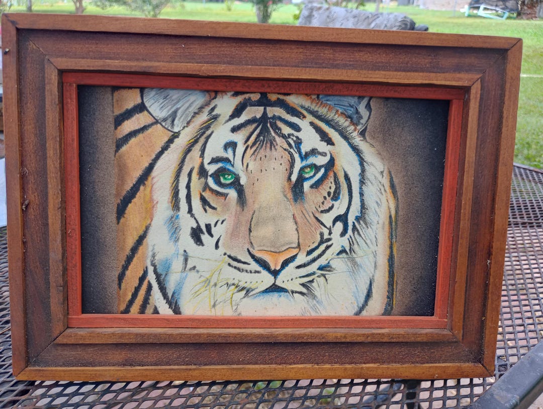 Framed Tiger Drawing: Prisma Colored Pencil Art, Two-tone Wood Frame - Etsy