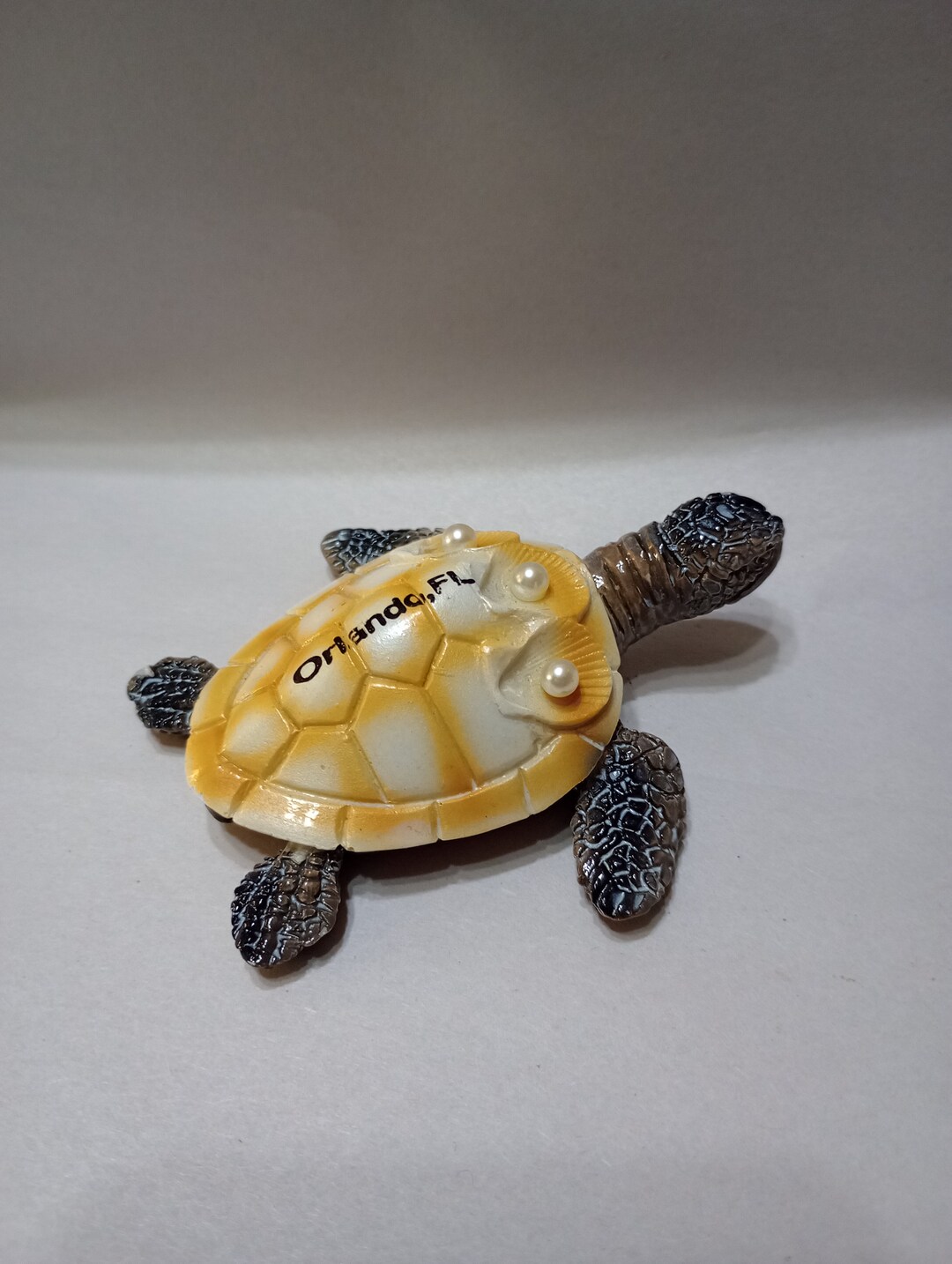 Small Souvenir Resin Turtle Orlando Florida With Three Pearls. - Etsy