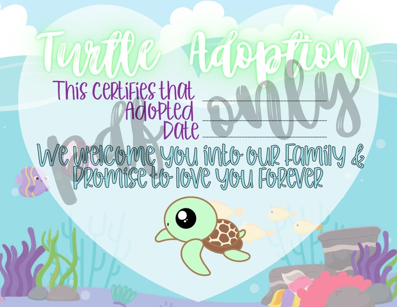 Turtle Adoption Certificate Multipack, Turtle Printable, Digital Print ...
