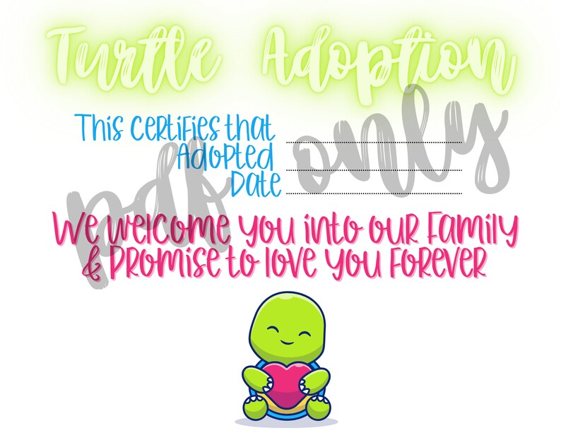 Turtle Adoption Certificate Multipack, Turtle Printable, Digital Print ...