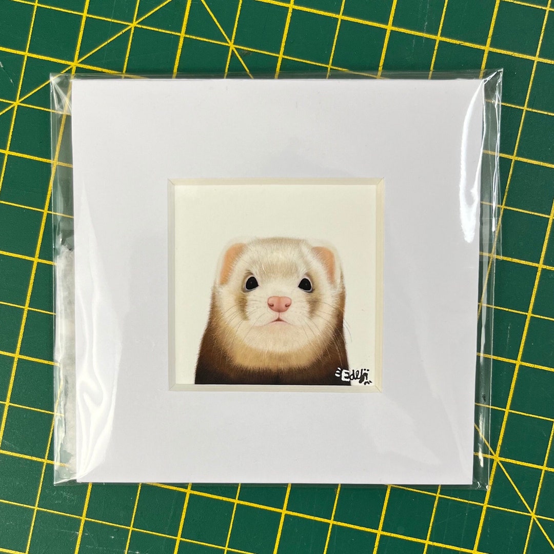 FERRET MINI GICLEE Fine Art Print Signed With Mount 4x4 - Etsy