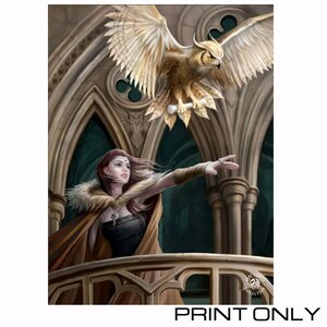 Owl Messenger - Anne Stokes - 3D Lenticular Art - Framed Art Print ...