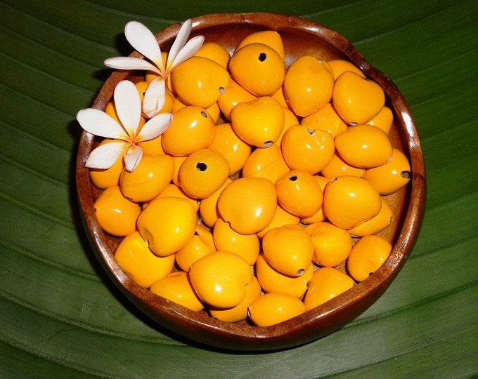 Deluxe Kukui Nut Lei - Etsy