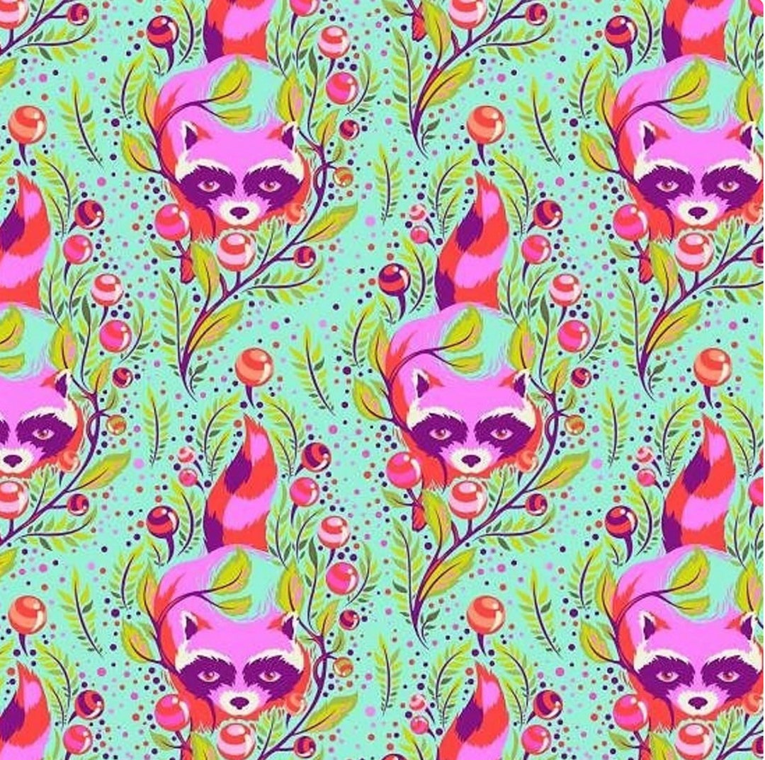 Tula Pink, Animals, Raccoons, All Stars, Tula Pink Fabric, BHY - Etsy