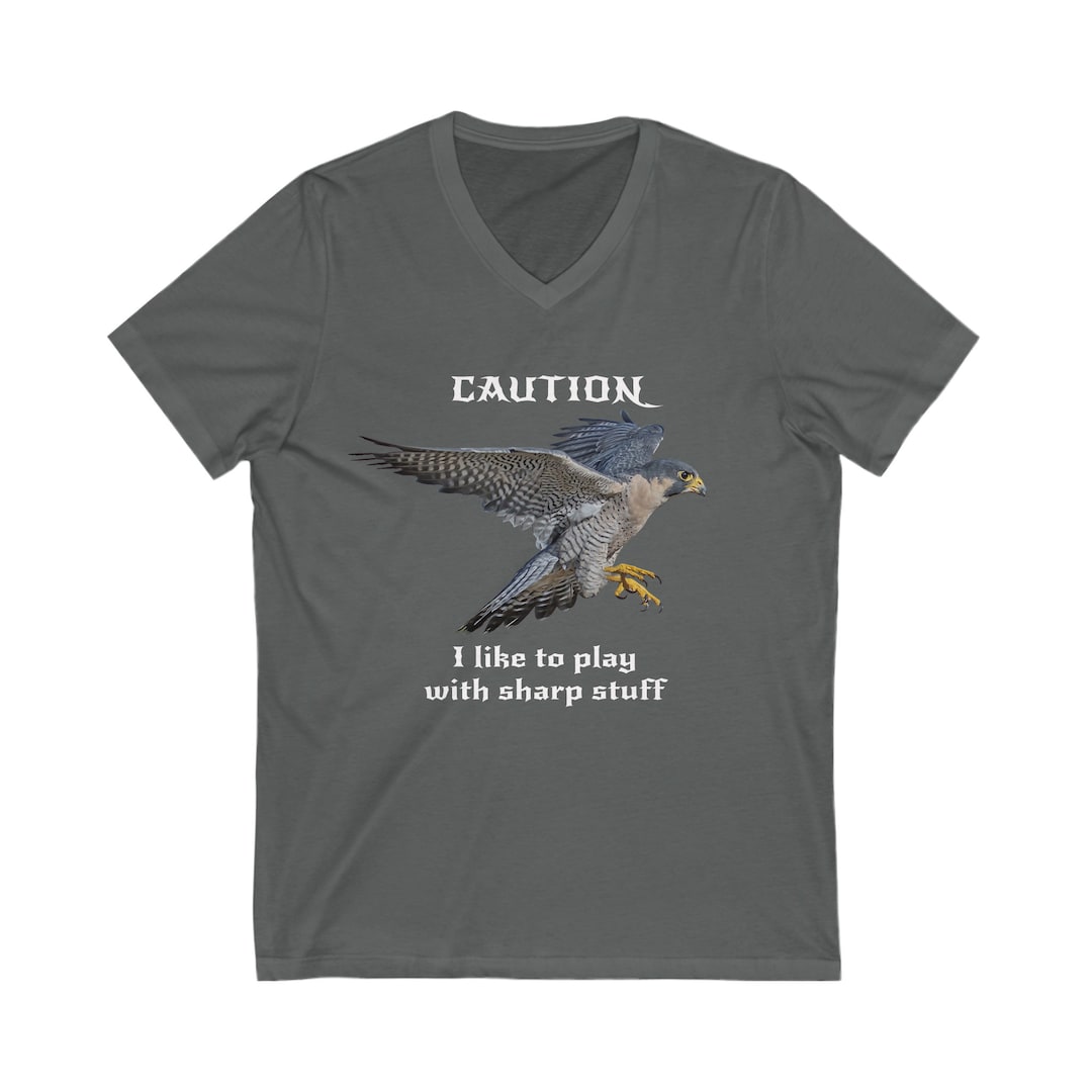 Falconry Peregrine Falcon T Shirt - Etsy