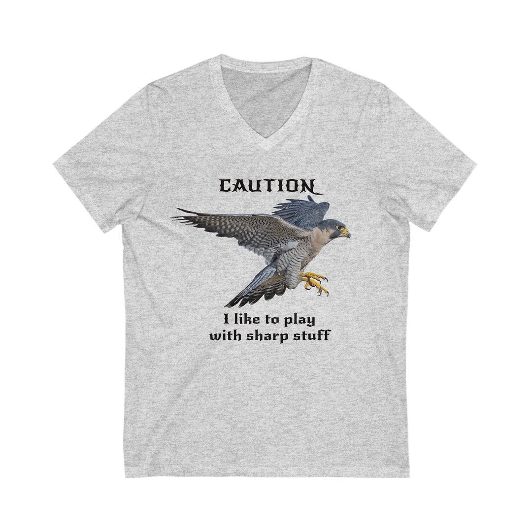 Falconry Peregrine Falcon T Shirt - Etsy