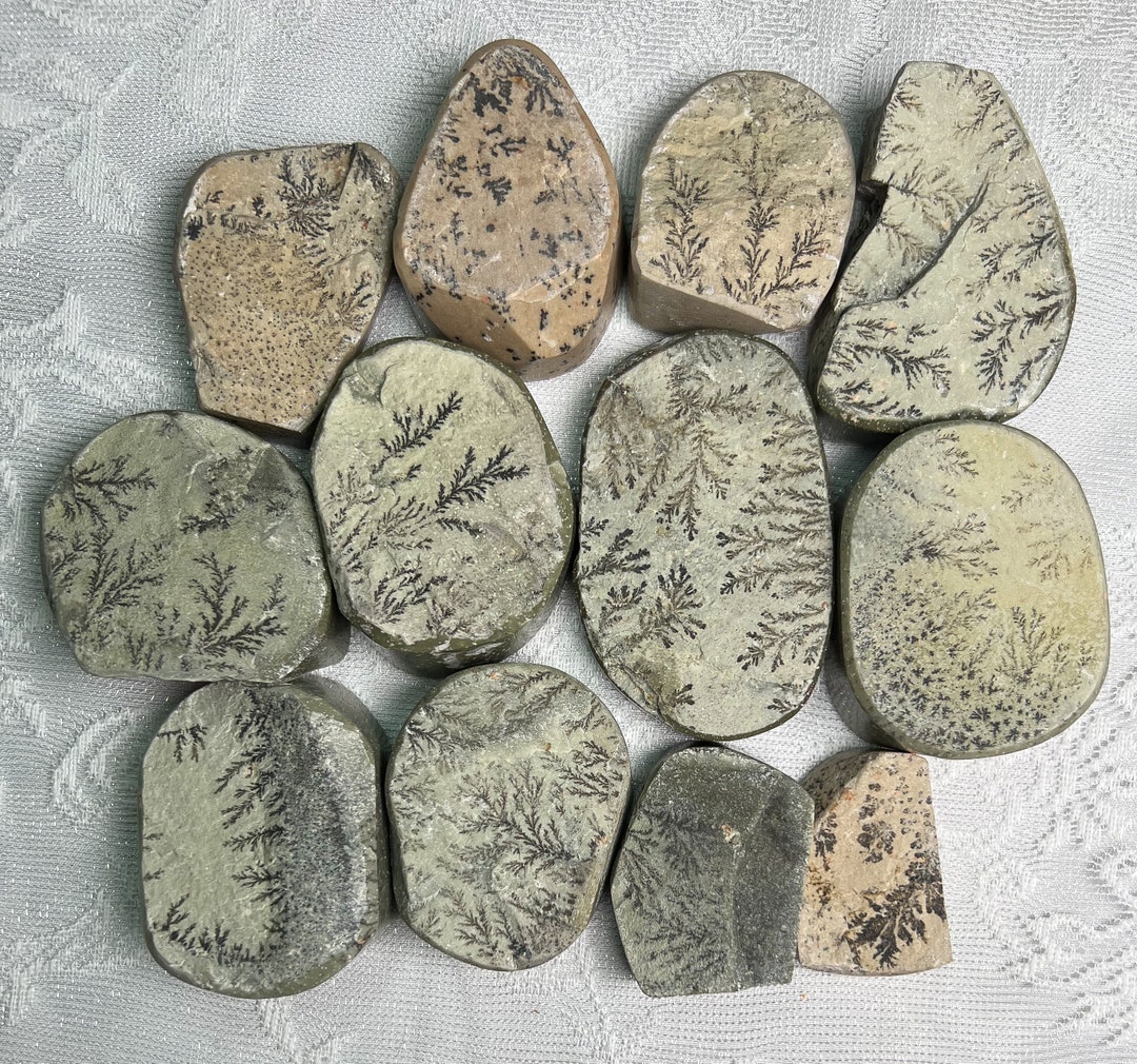 Utah Dendrites Palm Stone, Choose Your Crystal, Dendritic Limestone ...
