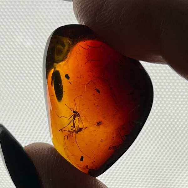 Amber With Insects - Etsy