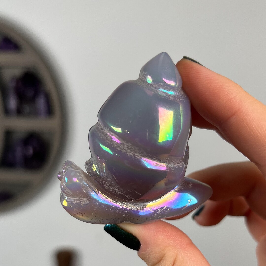 Aura High Quality Druzy Agate Snail, Good Luck Stone - Etsy