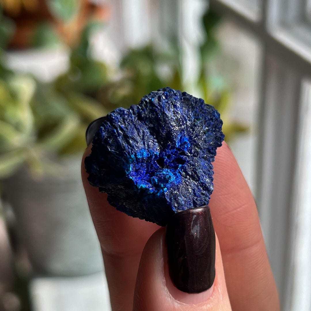 Azurite Blueberry 14g Geode Half, Dark Blue Druzy Crystal, Large Growth ...